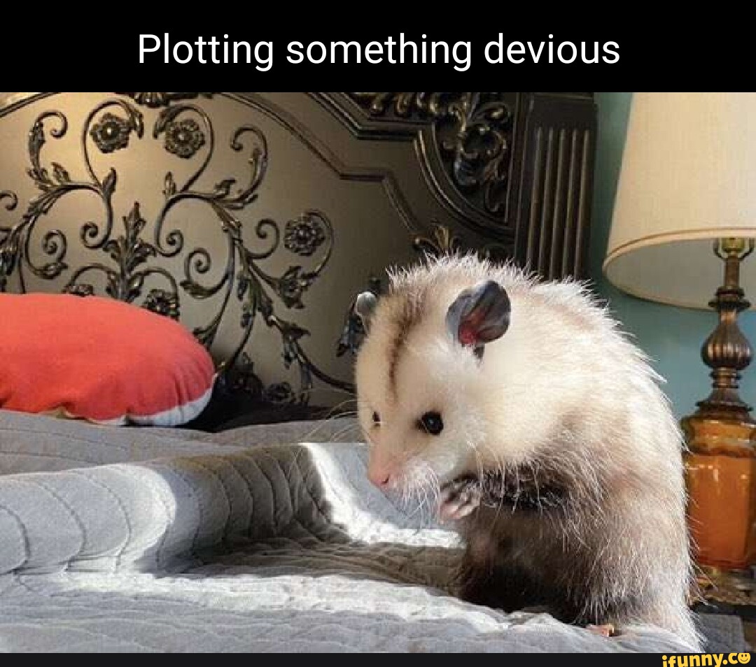 Al I I Plotting something devious I - iFunny