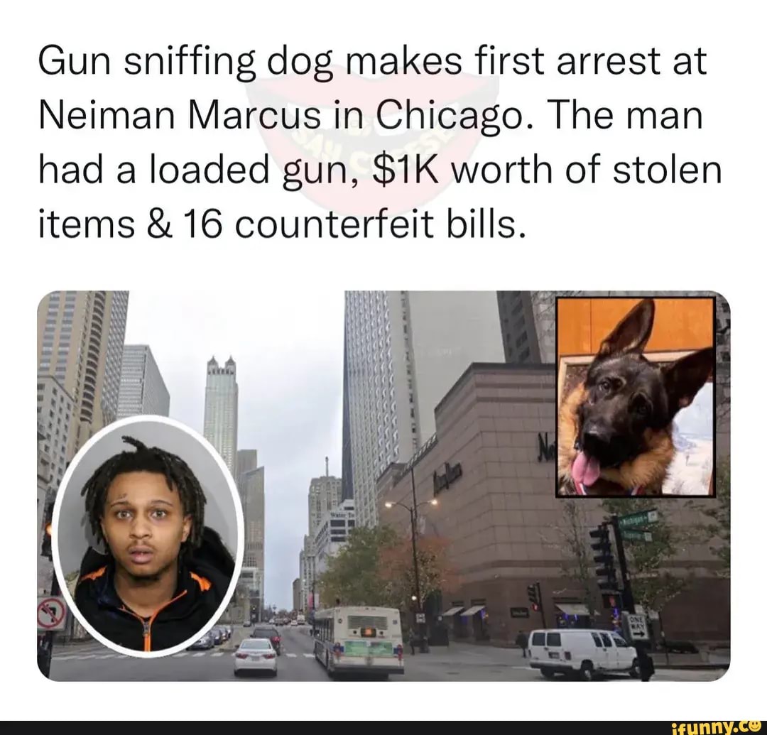 Neiman memes. Best Collection of funny Neiman pictures on iFunny
