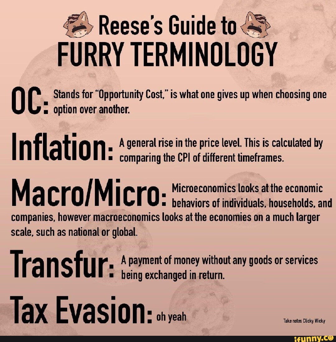 Reese's Guide to FURRY TERMINOLOGY 0 C Stands for "Opportunity Cost ...