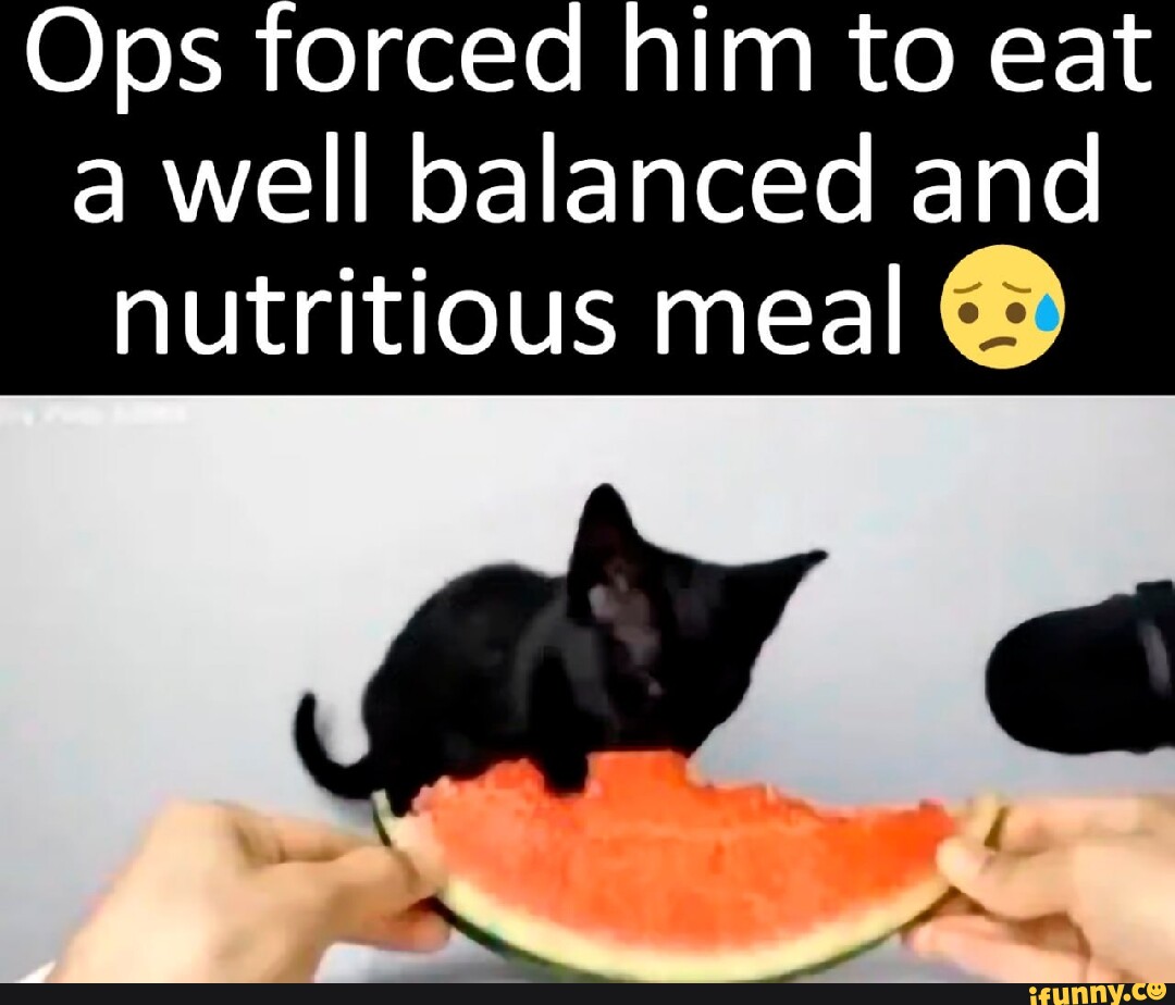 Ops forced him to eat a well balanced and nutritious meal - iFunny