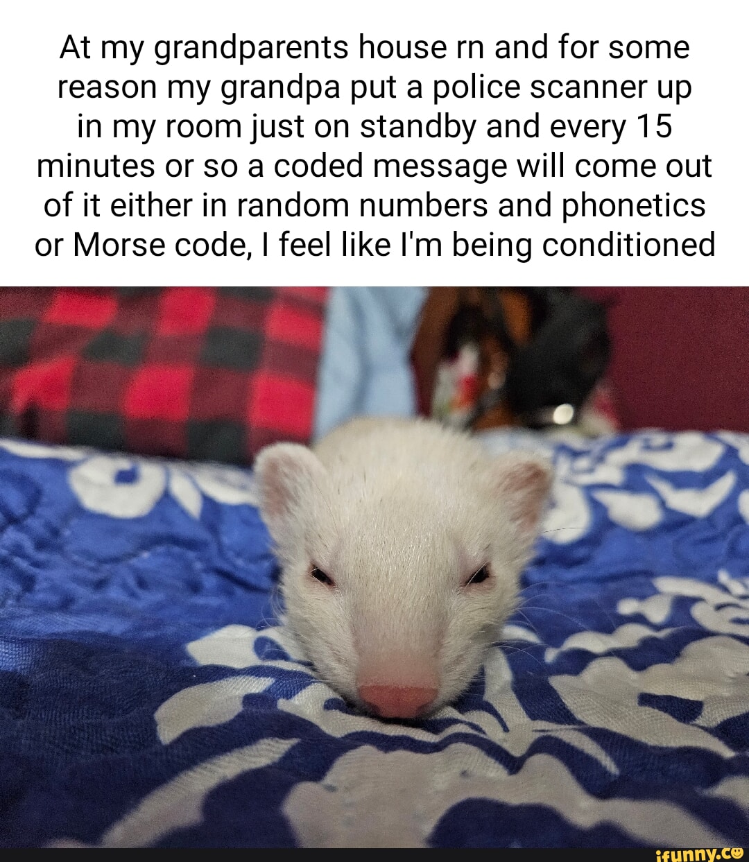 Scanner memes. Best Collection of funny Scanner pictures on iFunny