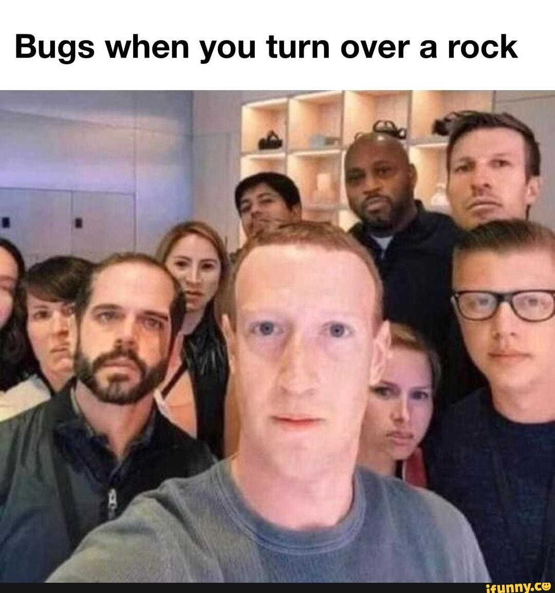 Bugs when you turn over a rock - iFunny