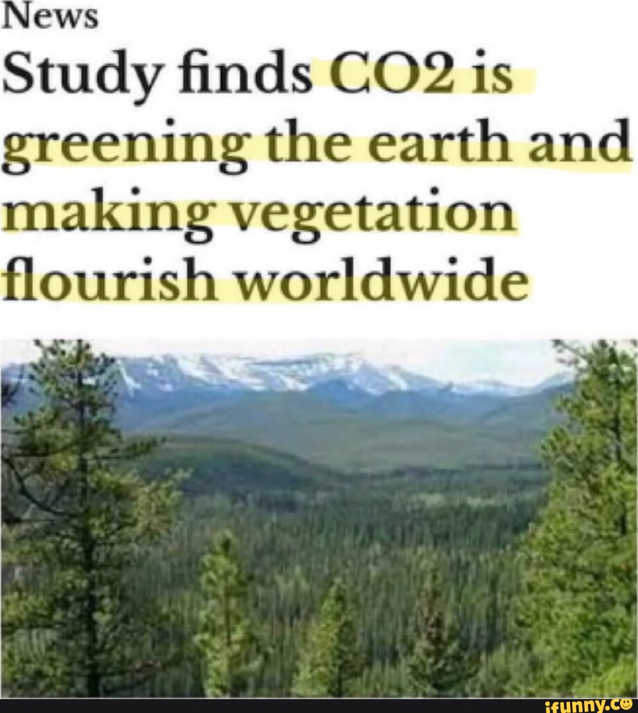 Vegetation memes. Best Collection of funny Vegetation pictures on iFunny