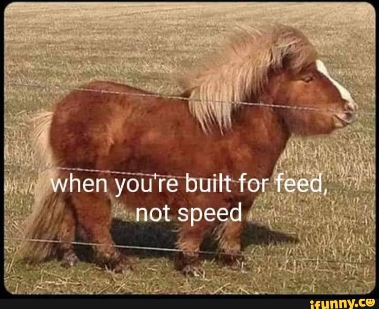 When youre built for feed, not speed - iFunny