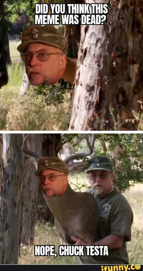 DID YOU THINK' THIS MEME WAS DEAD? HOPE, CHUCK TESTA - iFunny
