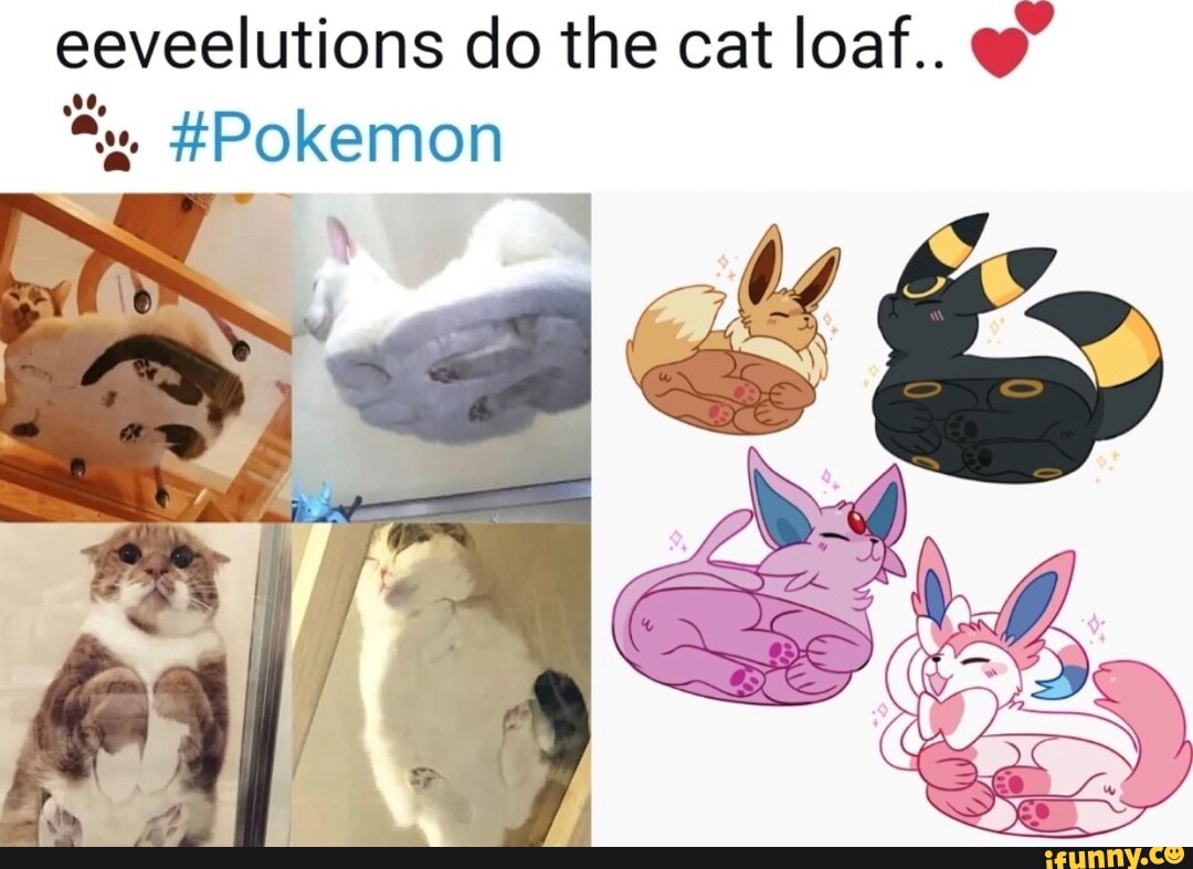 Eeveelutions do the cat loaf.. #Pokemon II/ - iFunny