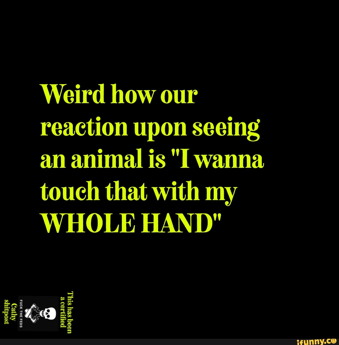 Weird how our reaction upon seeing an animal is "I wanna touch that ...