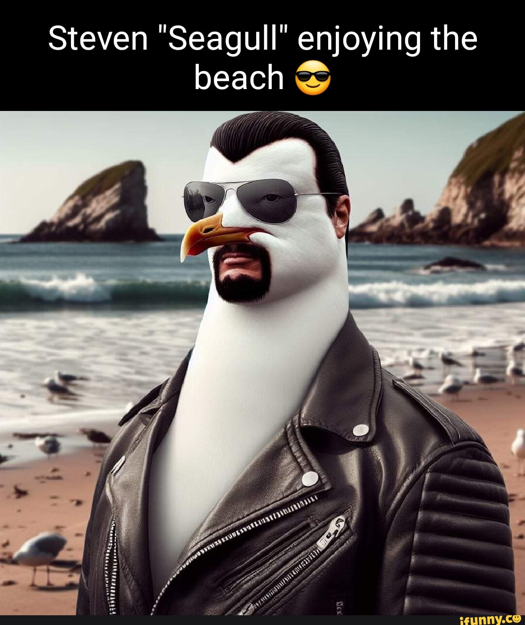 Seagull memes. Best Collection of funny Seagull pictures on iFunny