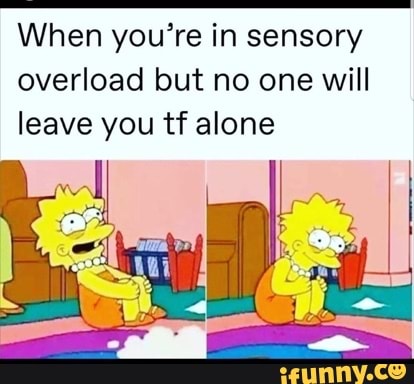 When you're in sensory overload but no one will leave you tf alone - iFunny