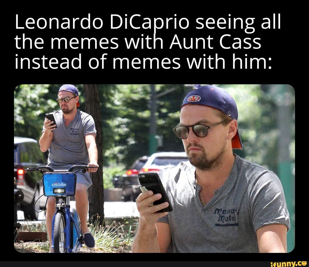 Leonardo memes with DiCaprio seeing Aunt Cass all the memes with Aunt ...
