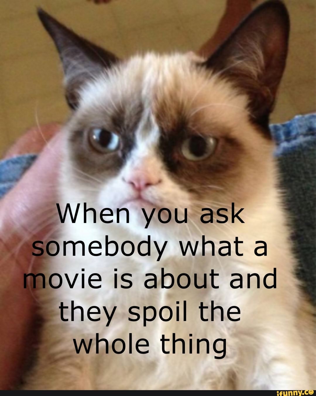 Dvie memes. Best Collection of funny Dvie pictures on iFunny