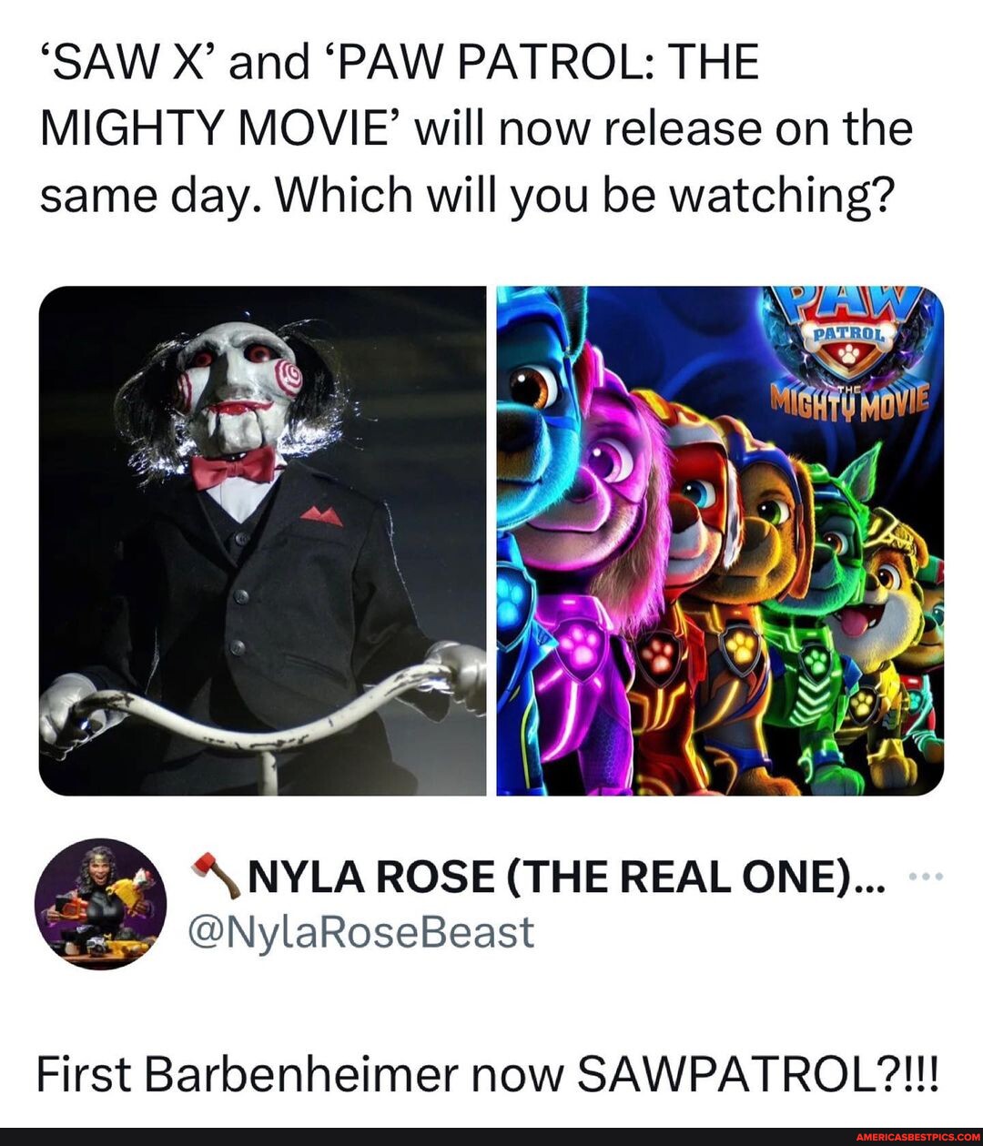 Why does the PAW Patrol poster go so hard 🔥 Like this content? Follow ...