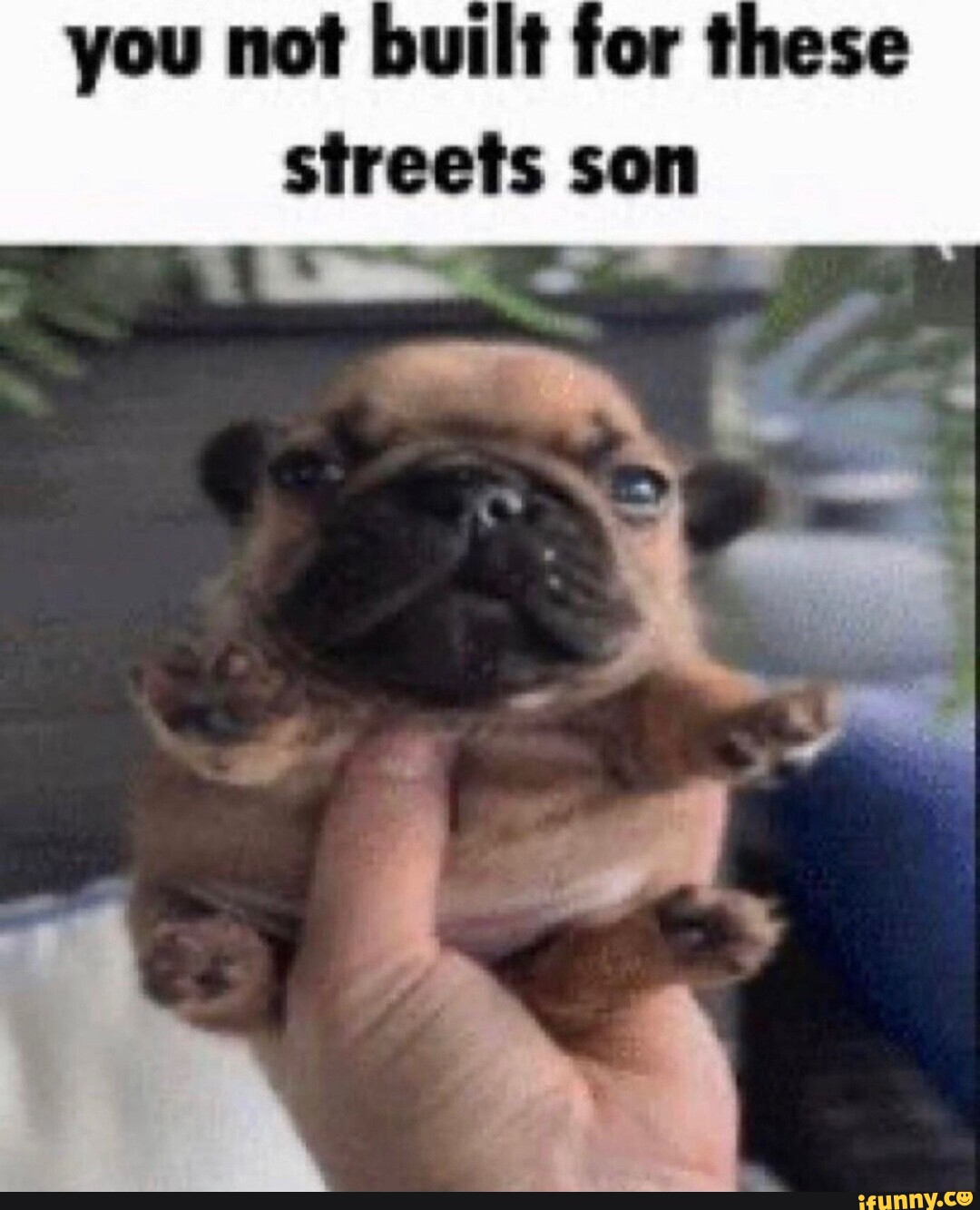 You not built for these streets son - iFunny