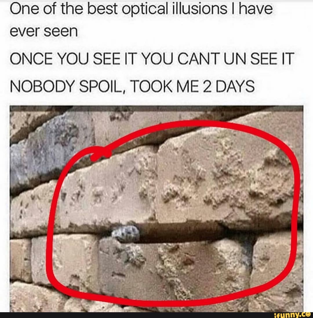 One of the best optical illusions I have ever seen ONCE YOU SEE IT YOU ...