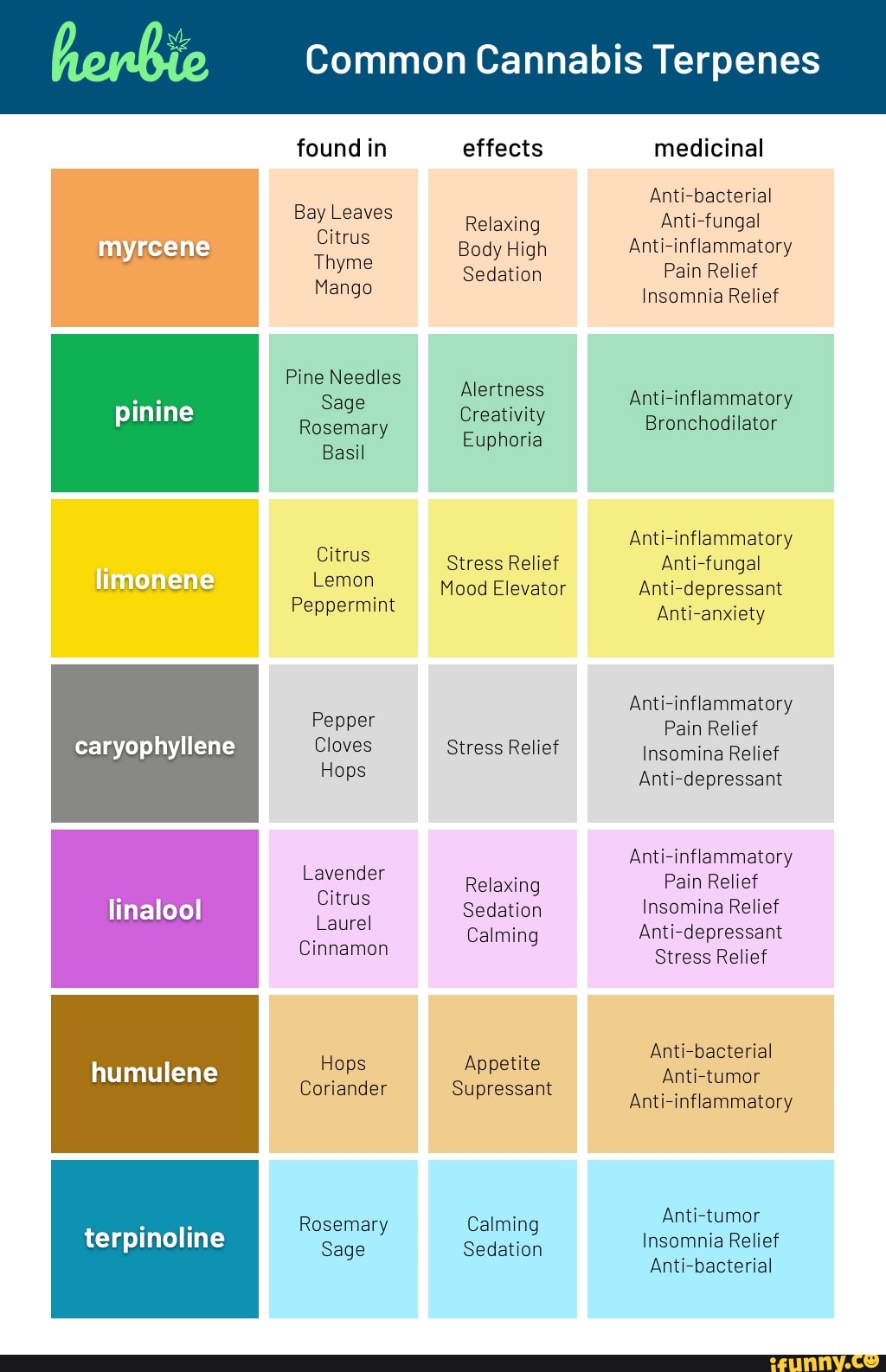 Bacterial memes. Best Collection of funny Bacterial pictures on iFunny