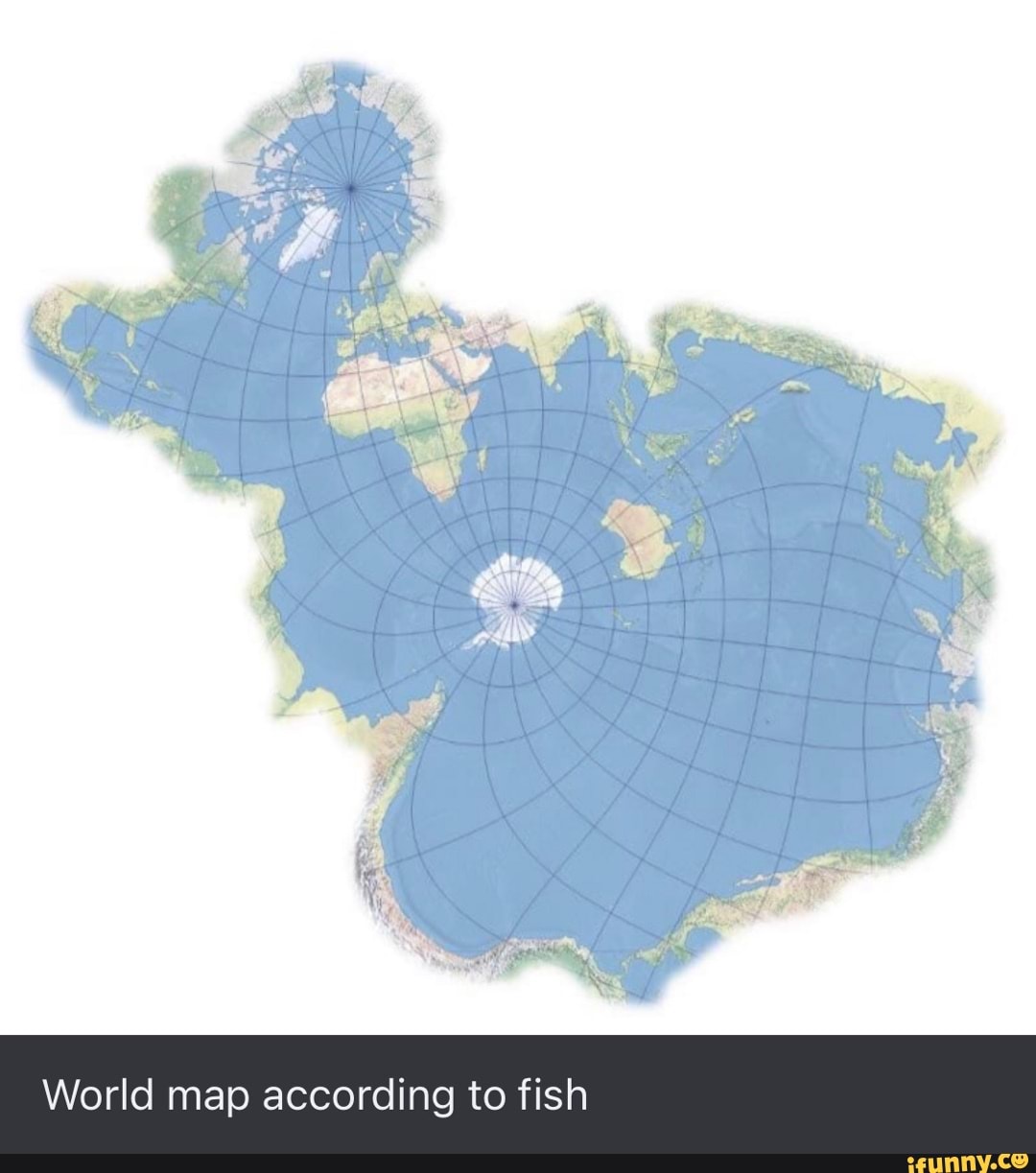 World map according to fish - iFunny