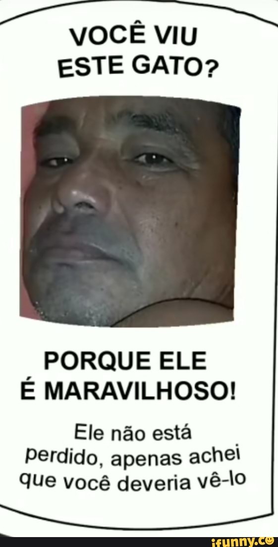 VOCÊ VIU ESTE GATO? PORQUE ELE E MARAVILHOSO! Ele não está perdido ...