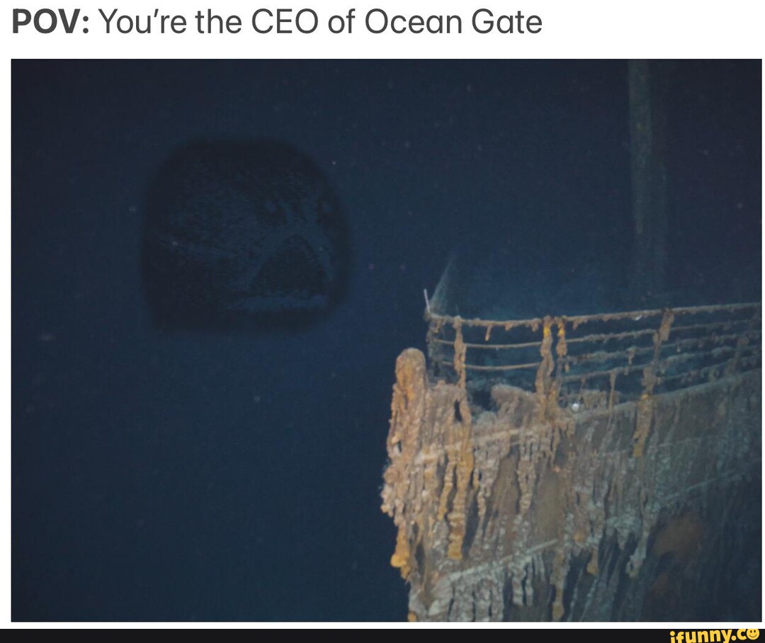 Ya shouldnt have gone down to see the Titanic - POV: You're the CEO of ...