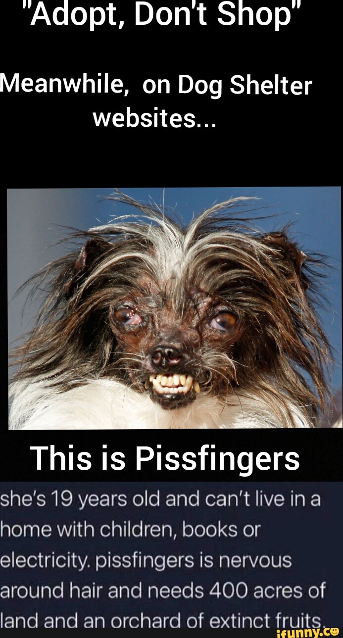 Picture memes niDYSA6LA by Appearingpanda: 4 comments - iFunny