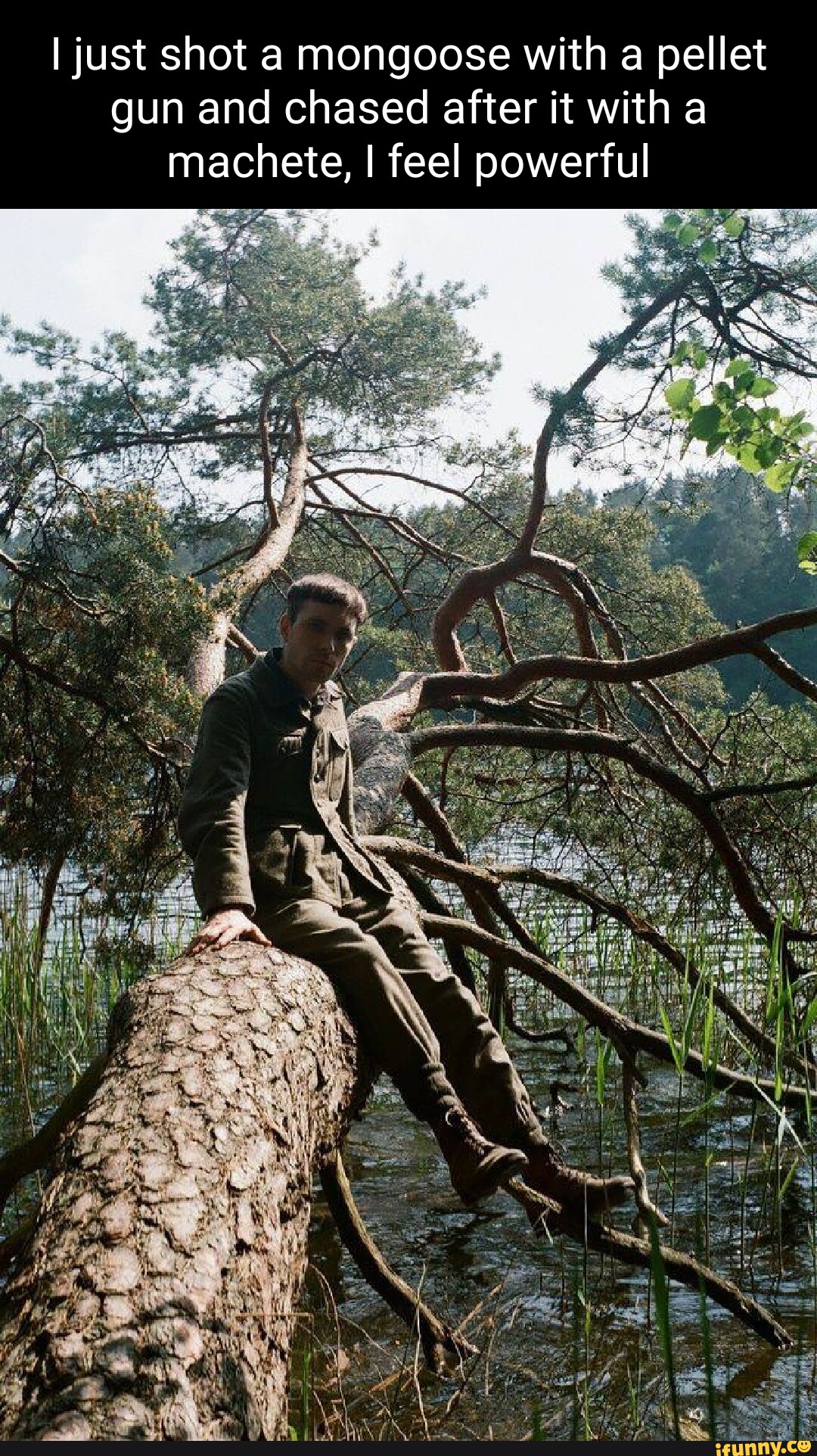 Mongoose memes. Best Collection of funny Mongoose pictures on iFunny