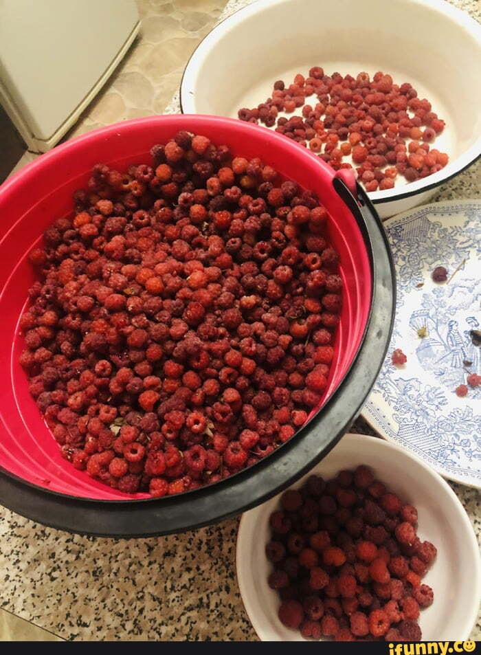 Raspberries memes. Best Collection of funny Raspberries pictures on iFunny