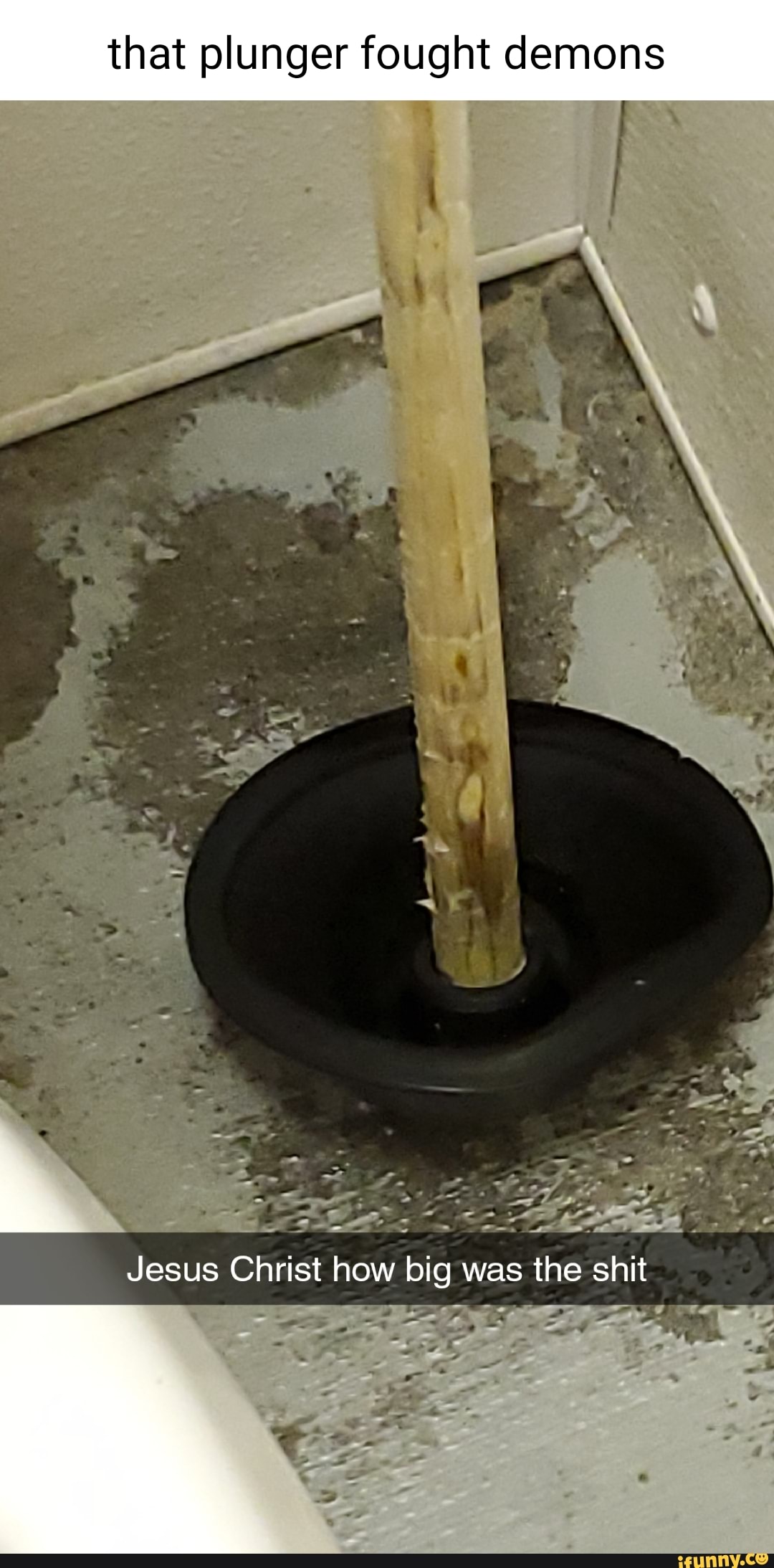 That plunger fought demons aft) Jesus Christ how big was the shit ry ...