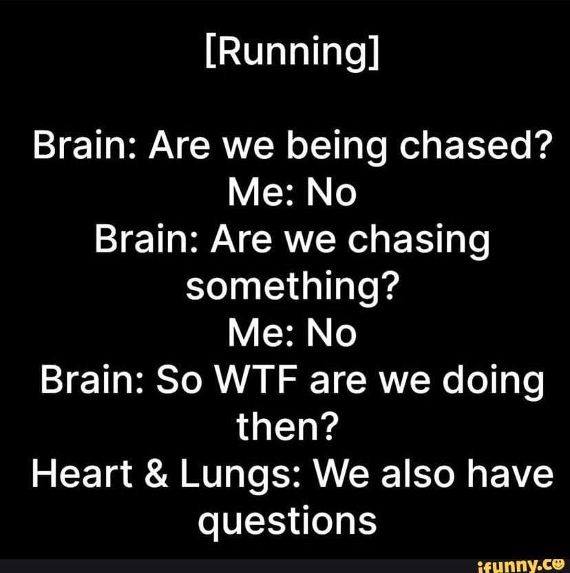 [Running] Brain: Are we being chased? Me: No Brain: Are we chasing ...