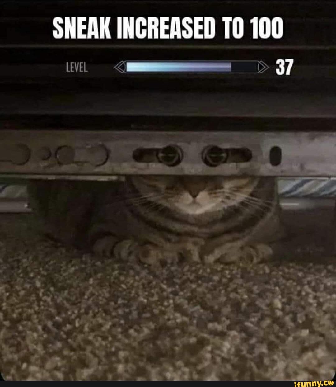 SNEAK INCREASED 70 100 LEVEL 37 - iFunny