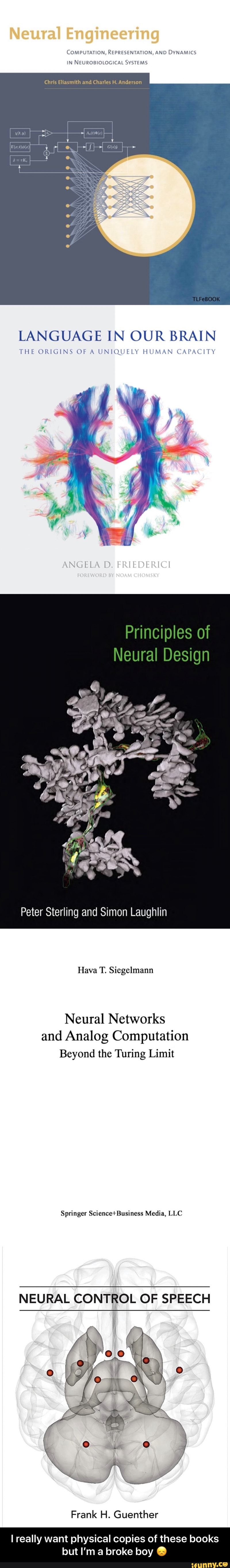 Revral COMPUTATION, REPRESENTATION, AND DYNAMICS IN NEUROBIOLOGICAL SYSTEMS Chris Eliasmith and ...