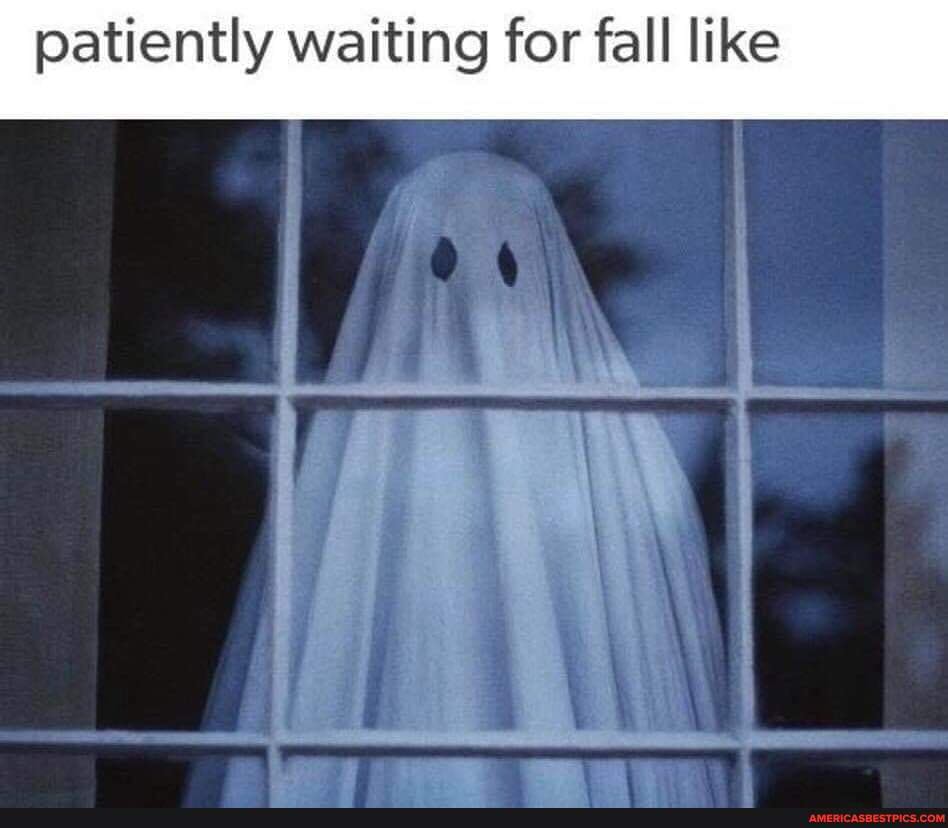 Patiently waiting for fall like - America’s best pics and videos