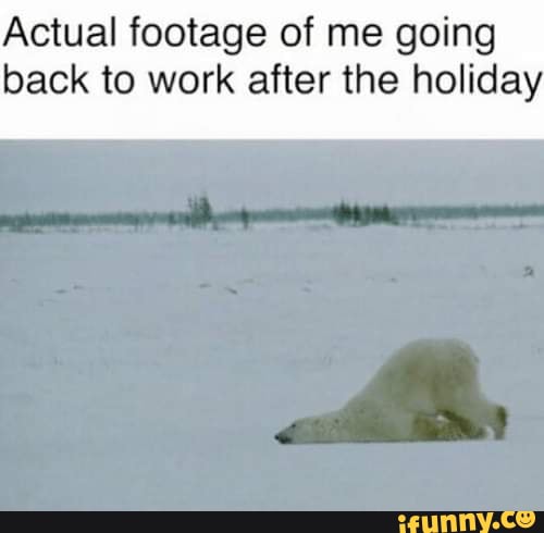 Actual footage of me going back to work after the holiday - iFunny