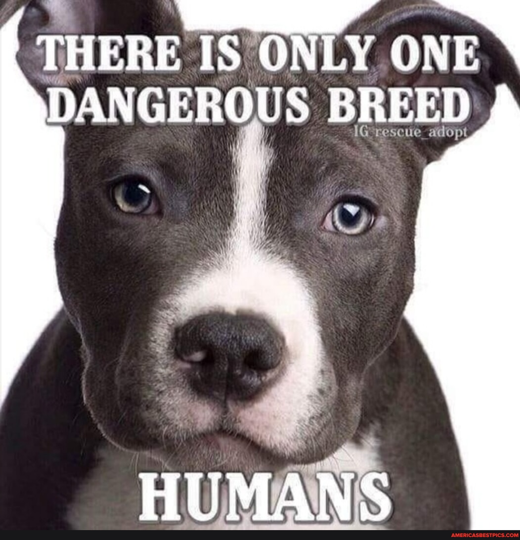 RETC ONLY ONE THERE IS ONLY ONE DANGEROUS BREED HUMANS I - America’s ...