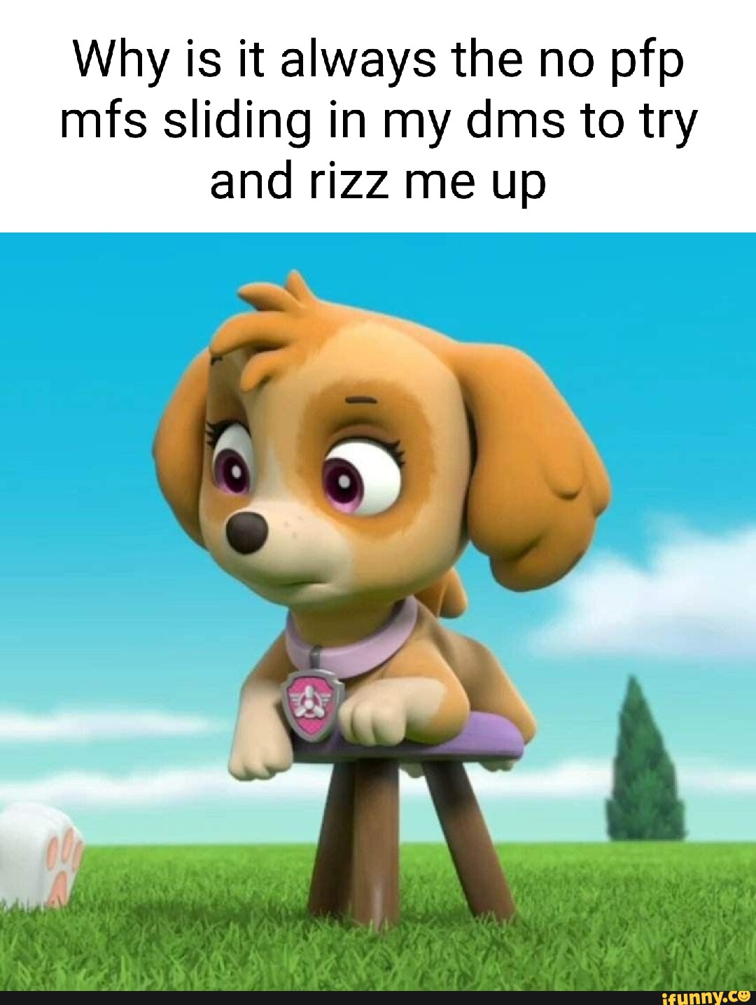 Why is it always the no pfp mrs sliding in my dms to try and rizz me up ...