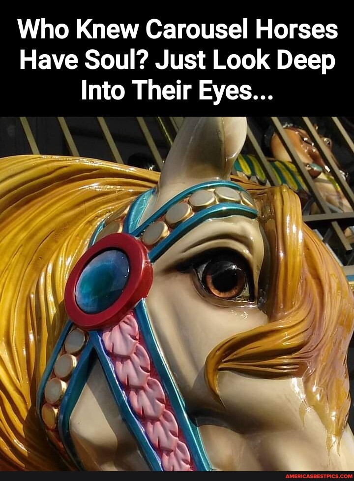 Who Knew Carousel Horses Have Soul? Just Look Deep Into Their Eyes ...