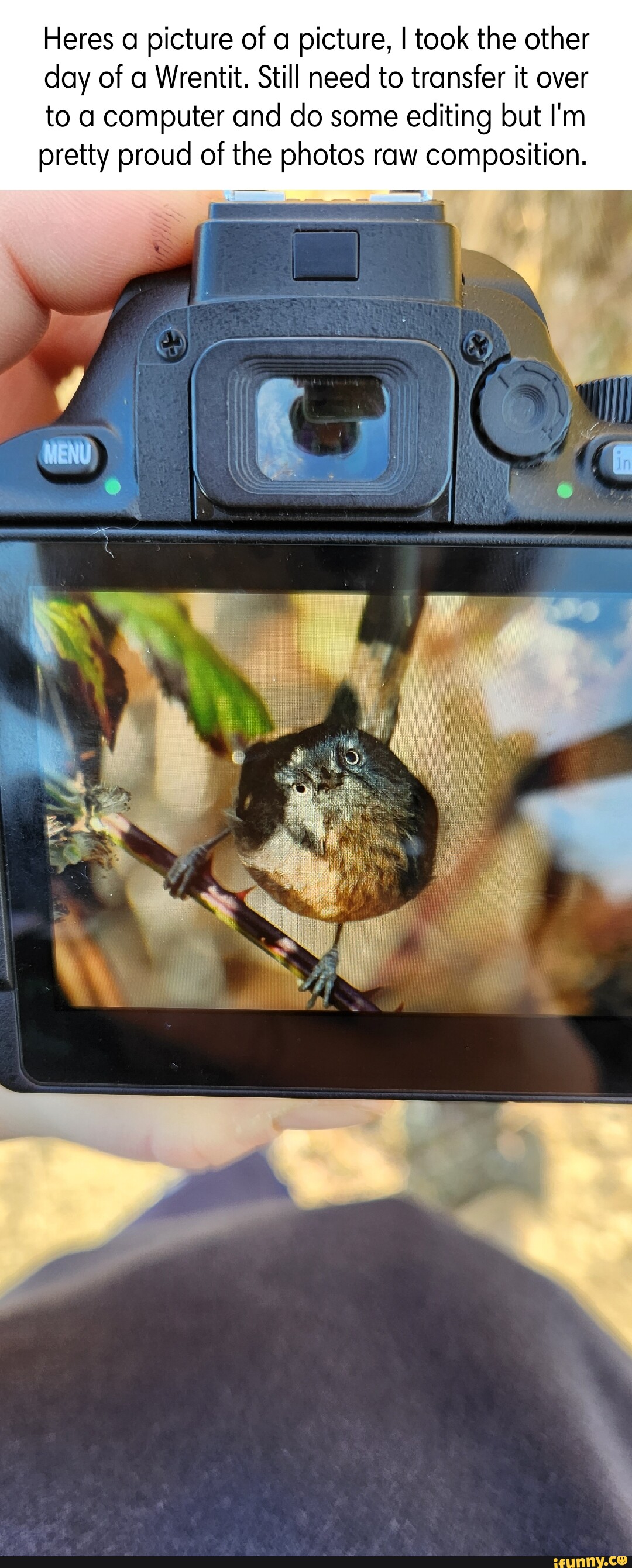 Dslr memes. Best Collection of funny Dslr pictures on iFunny