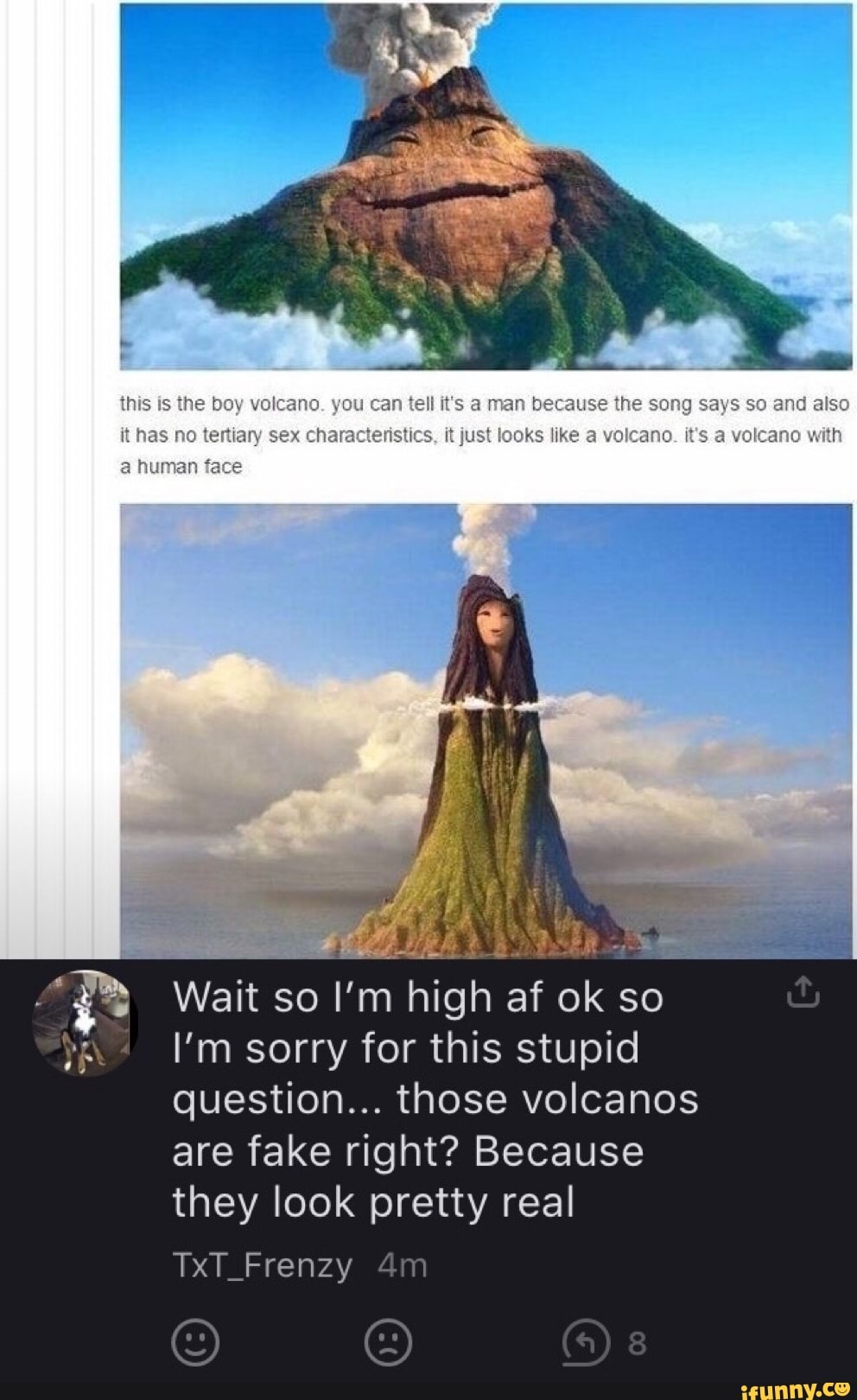 I'm sorry for this stupid question... those volcanos are fake right ...