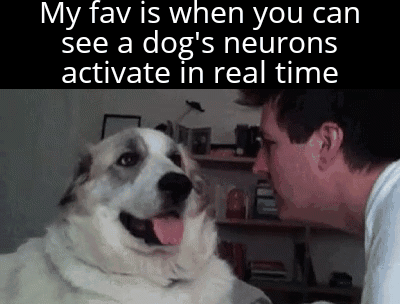 Neurons memes. Best Collection of funny Neurons pictures on iFunny