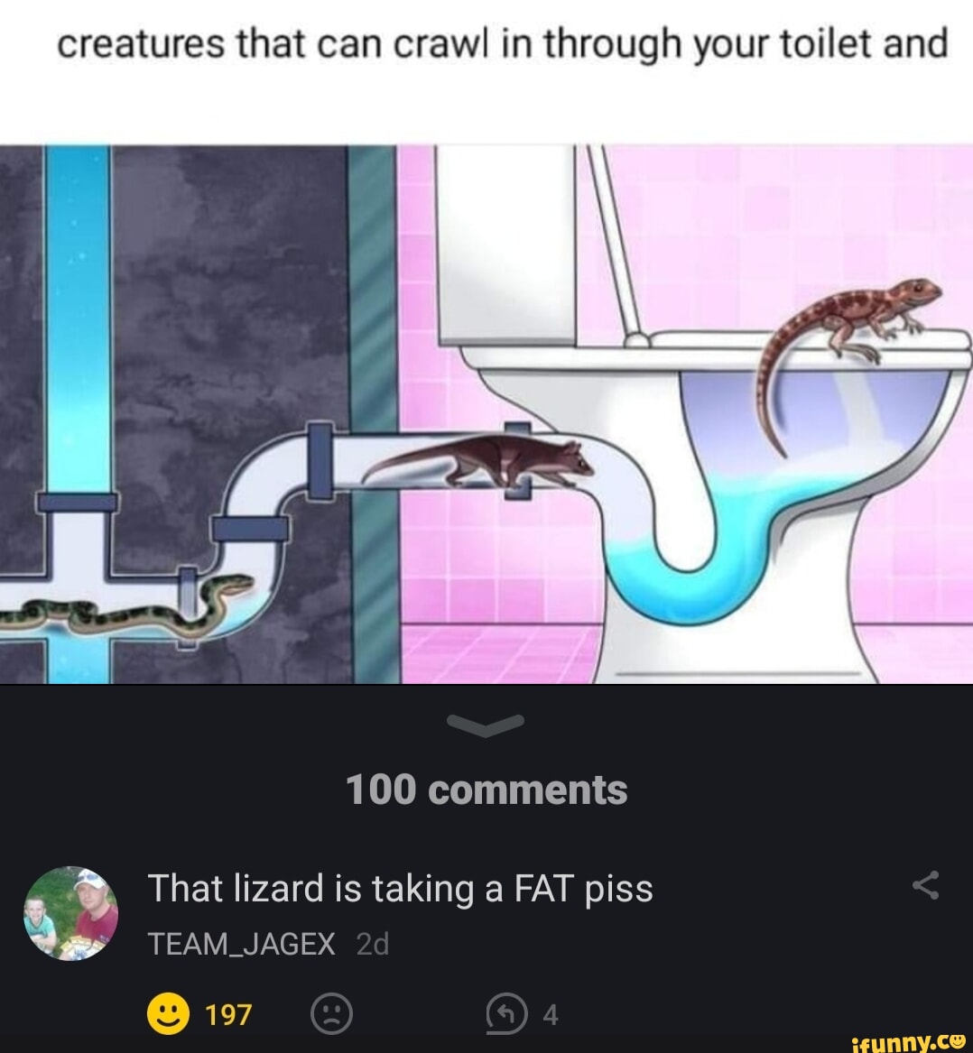 Creatures that can crawl in through your toilet and 100 comments That ...