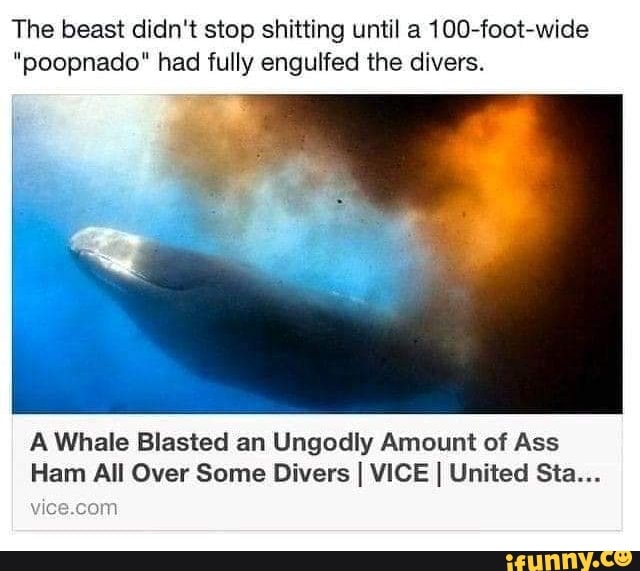 The beast didn't stop shitting until a 100-foot-wide "poopnado" had ...