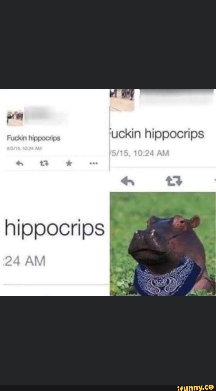 Hippocrips memes. Best Collection of funny Hippocrips pictures on iFunny