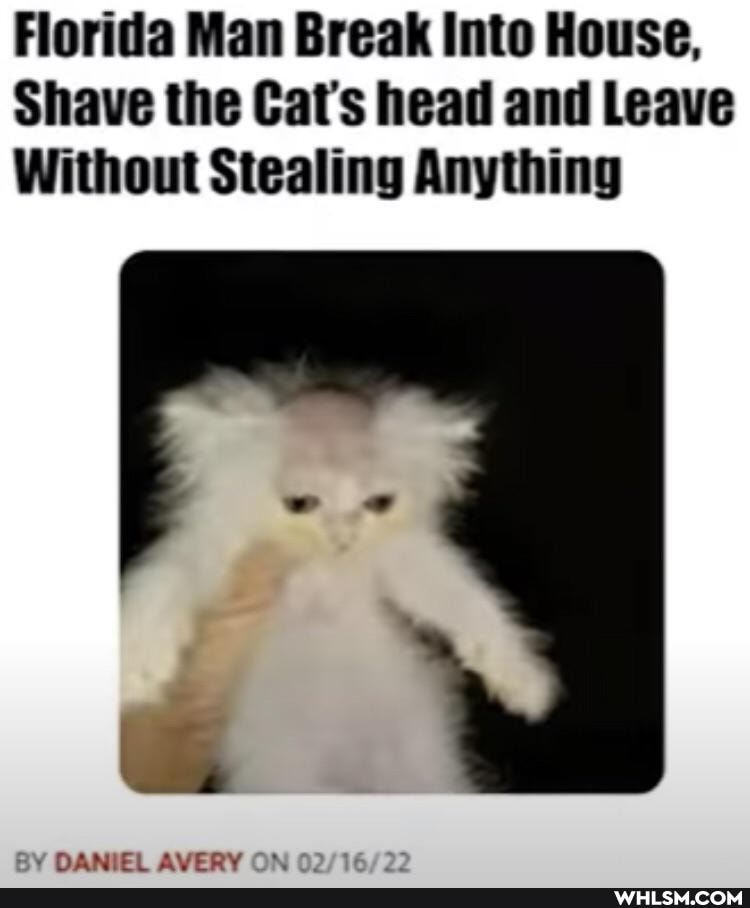 Florida Man Break Into House, Shave the Cat's head and Leave Without ...