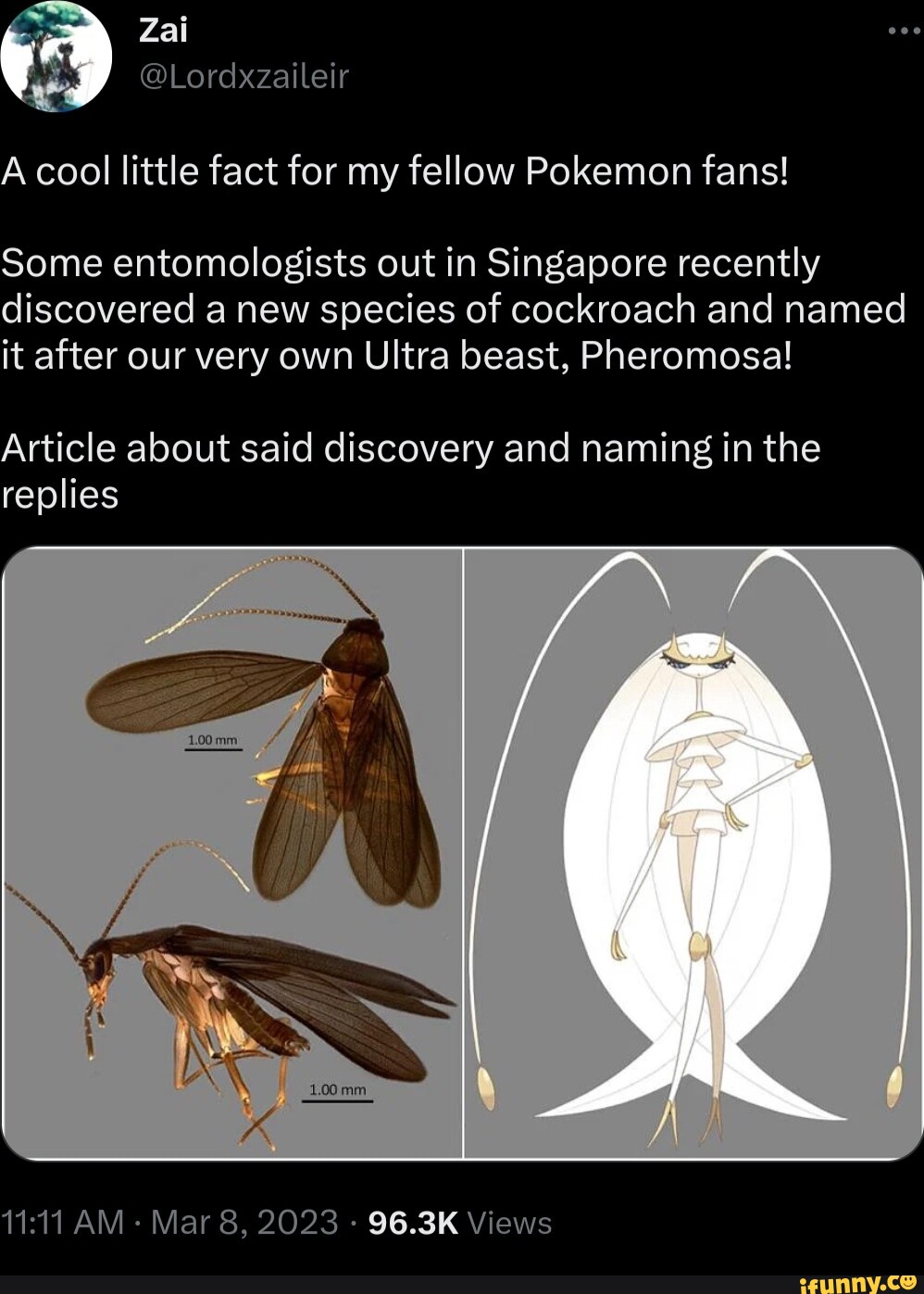 Pheromosa memes. Best Collection of funny Pheromosa pictures on iFunny