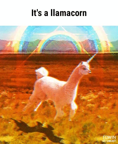 Flying Llamacorn