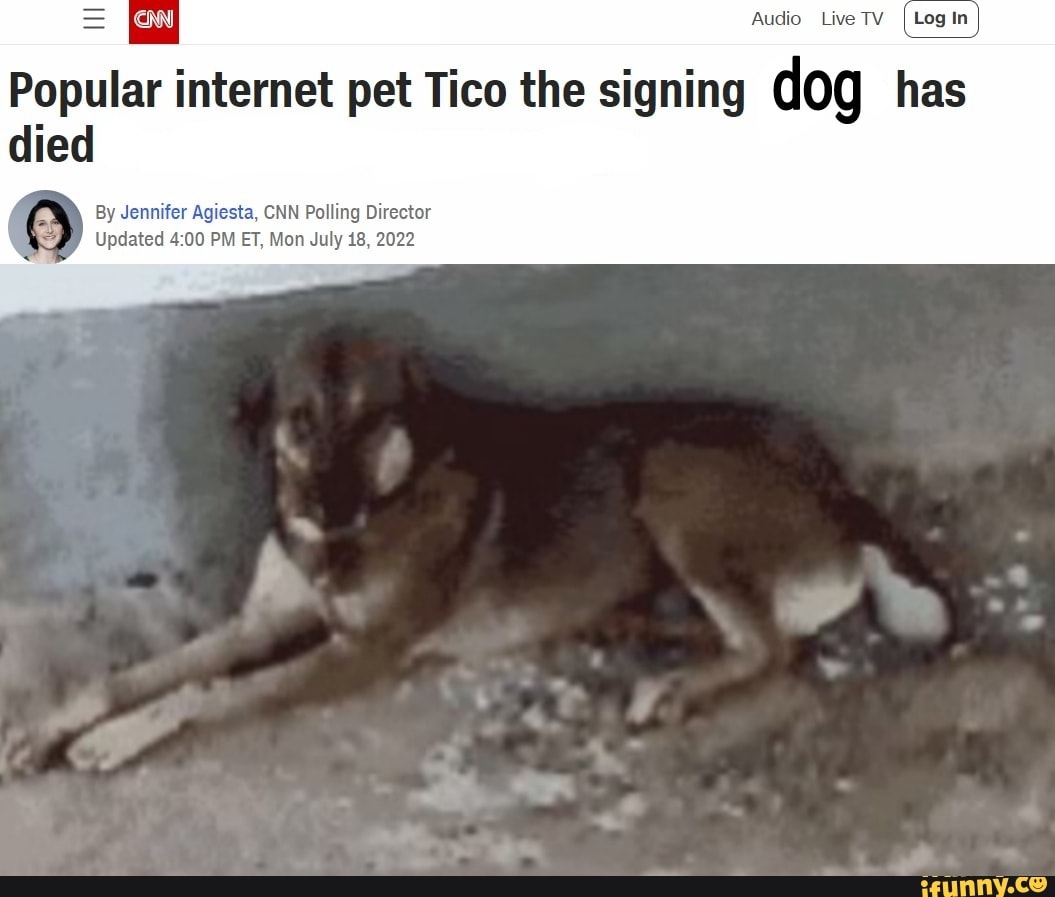 Jennifer memes. Best Collection of funny Jennifer pictures on iFunny