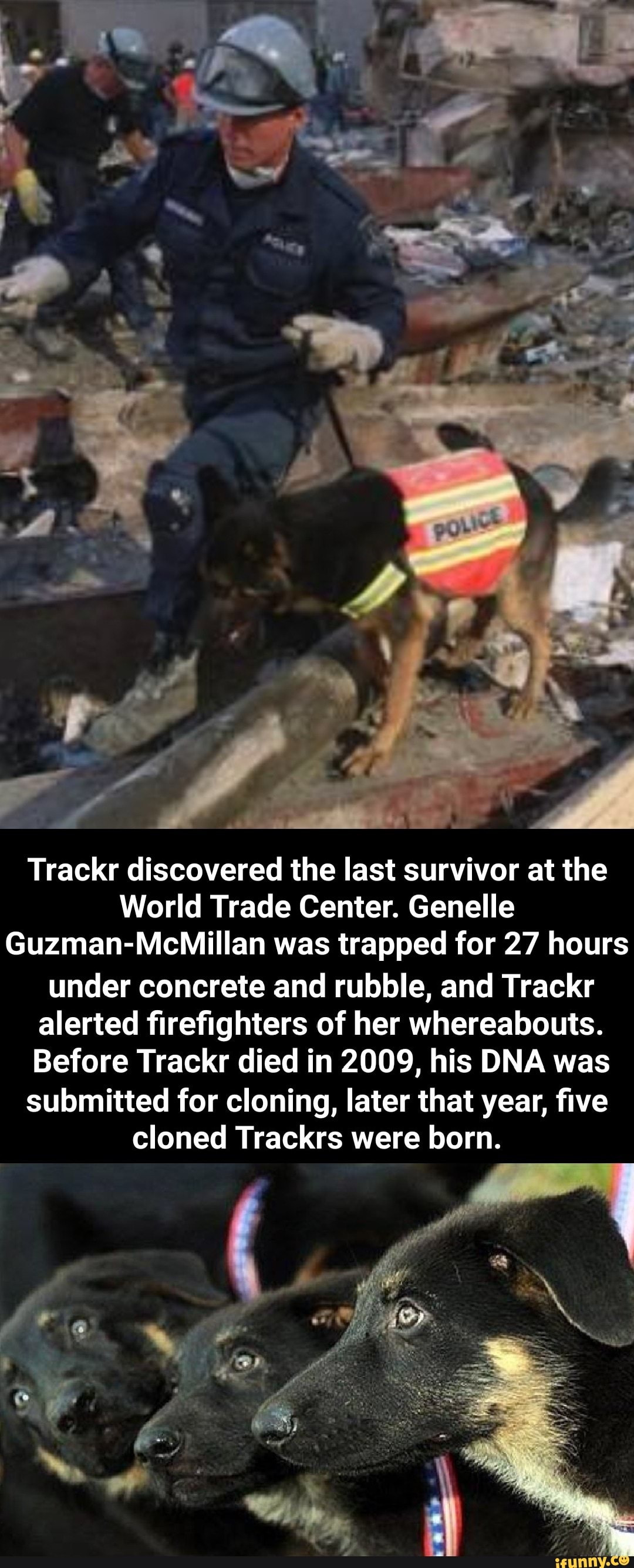 Trackr discovered the last survivor at the World Trade Center. Genelle ...