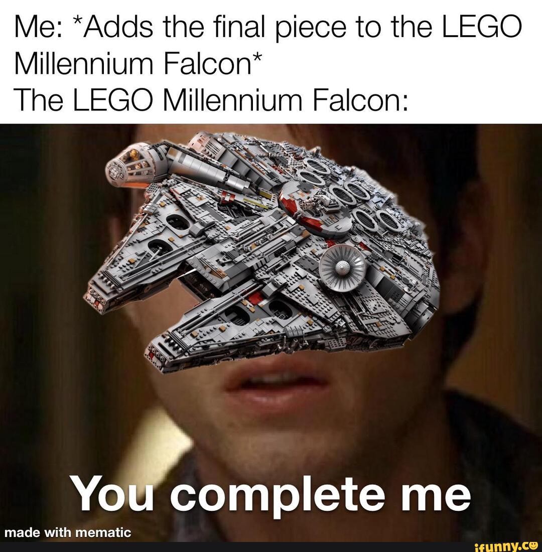 Me: *Adds the final piece to the LEGO Millennium Falcon* The LEGO ...