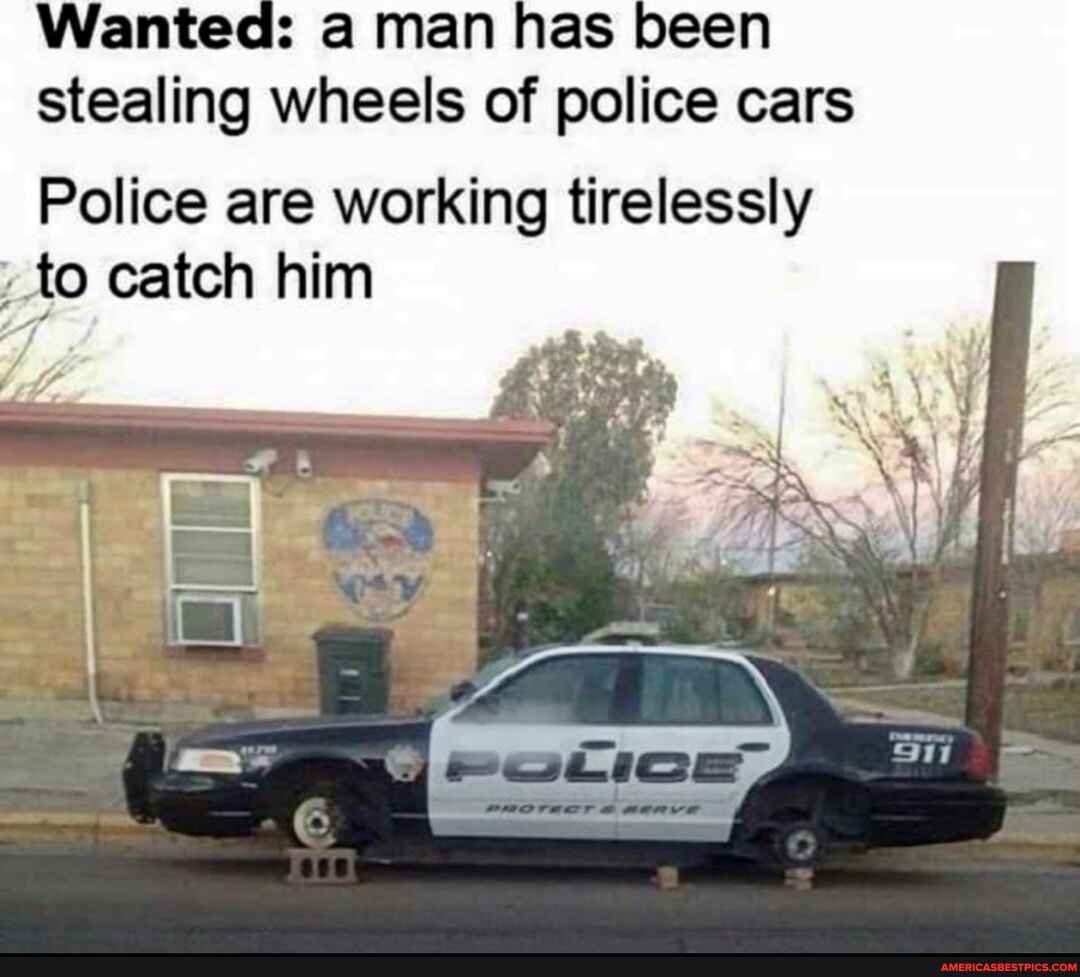 : Man has been stealing wheels of police cars Police are working ...