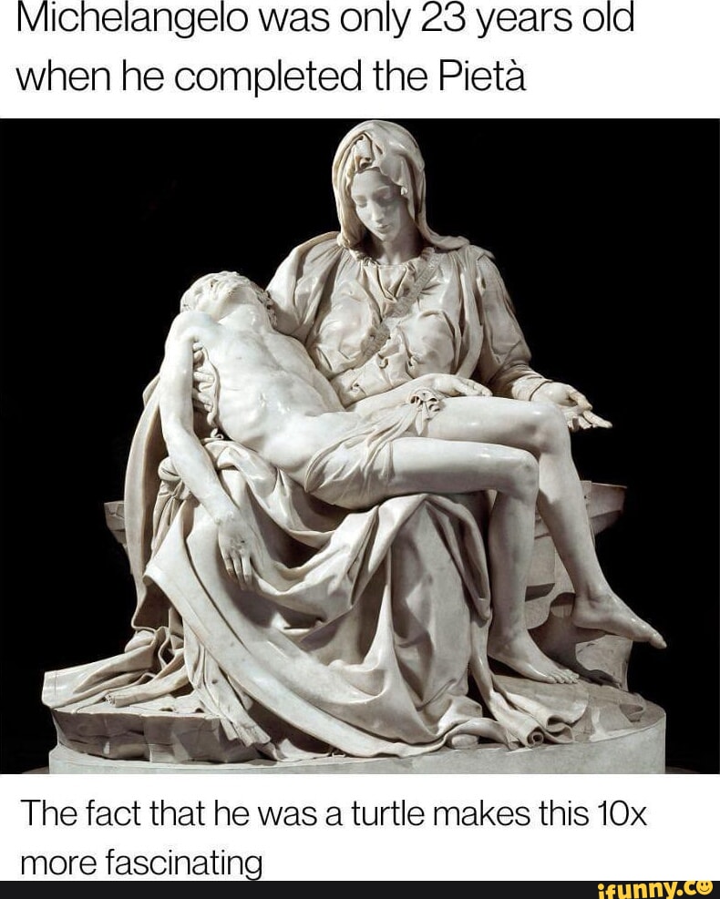Michelangelo was only 23 years old when he completed the Pieta The fact ...