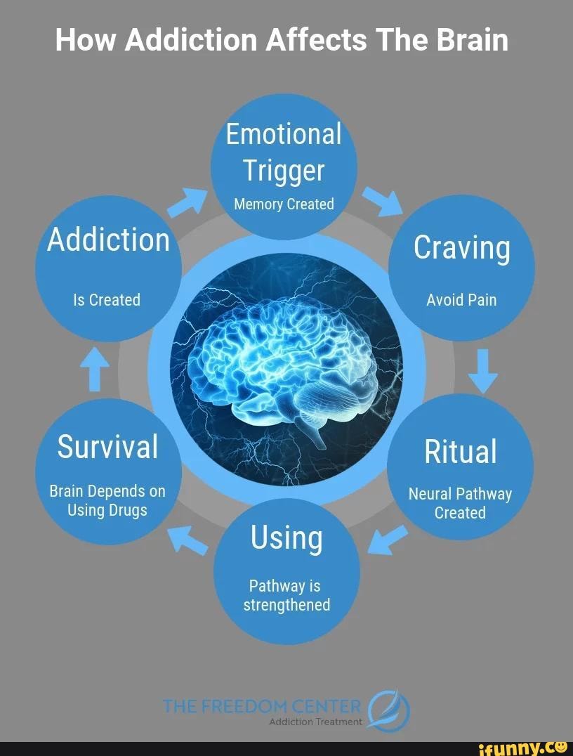 Addiction - How Addiction Affects The Brain Emotional Trigger Memory ...