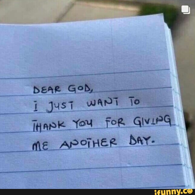 Town stalked by giant 2m tall, 95 KILO kangaroo with a torn ear who ...